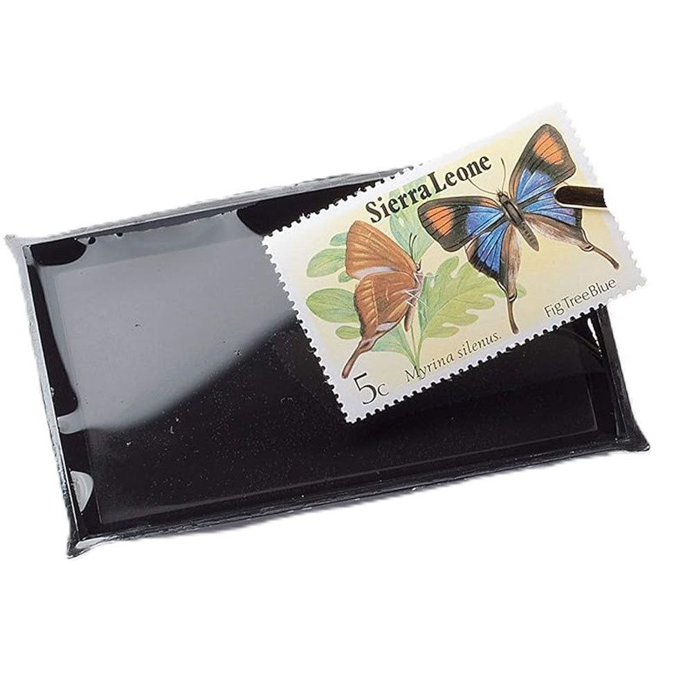 Leuchtturm Watermark Detector Tray (Black) - LatestBuy